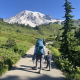 Myrtle Falls Viewpoint via Skyline Trail, Washington - 4,496 Reviews ...