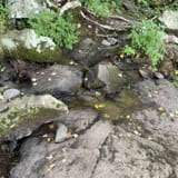 Lewis Spring Falls Trail, Virginia - 1,546 Reviews, Map | AllTrails