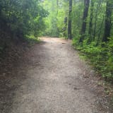 Dukes Creek Trail, Georgia - 3,445 Reviews, Map | AllTrails