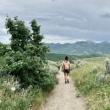 Emigration Canyon Miners Trail, Utah - 883 Reviews, Map | AllTrails
