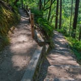Dipsea Trail, Steep Ravine Trail, and Matt Davis Loop, California ...