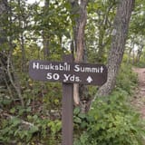 Hawksbill Summit Trail, Virginia - 2,769 Reviews, Map | AllTrails