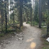 String Lake Trail, Wyoming - 2,355 Reviews, Map | AllTrails