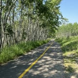 Glenmore Reservoir Loop, Alberta, Canada - 2,957 Reviews, Map | AllTrails