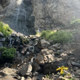 Silver Falls, Colorado - 130 Reviews, Map | AllTrails