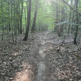 Aman Park Loop, Michigan - 1,677 Reviews, Map | AllTrails