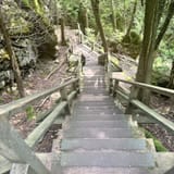 Flowerpot Island Loop Trail, Ontario, Canada - 593 Reviews, Map | AllTrails