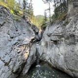 Heart Creek Trail, Alberta, Canada - 3,749 Reviews, Map | AllTrails