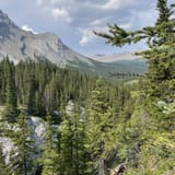 Edworthy Falls via Elbow Lake Trail, Alberta, Canada - 1,987 Reviews ...