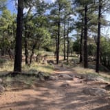 Fatmans Loop Trail, Arizona - 5,701 Reviews, Map | AllTrails
