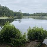 Leach Pond Trail, Massachusetts - 2,802 Reviews, Map | AllTrails