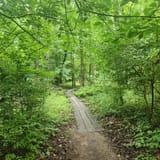 Long Path Trail, New York - 172 Reviews, Map | AllTrails