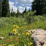 Shrine Ridge Trail, Colorado - 3,318 Reviews, Map | AllTrails
