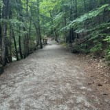 Sabbaday Falls , New Hampshire - 1,586 Reviews, Map | AllTrails