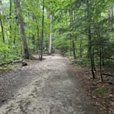 Sabbaday Falls , New Hampshire - 1,586 Reviews, Map | AllTrails