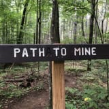 Peg Leg Mine Trail [CLOSED], Tennessee - 173 Reviews, Map | AllTrails
