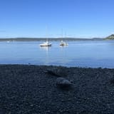 Titlow Park, Washington - 607 Reviews, Map | AllTrails