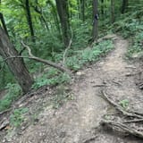 Bruce Trail: Niagara Section, Ontario, Canada - 396 Reviews, Map ...
