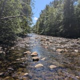 PoCo Traboulay Trail Loop, British Columbia, Canada - 1,219 Reviews ...