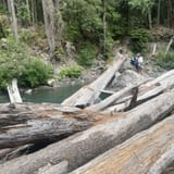Staircase Rapids Loop, Washington - 2,766 Reviews, Map | AllTrails
