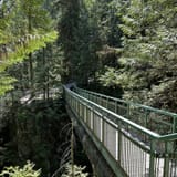 Capilano Canyon and Upper Capilano Pacific Trail Loop, British Columbia ...