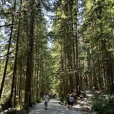 Capilano Canyon and Upper Capilano Pacific Trail Loop, British Columbia ...