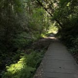 Chaminade Nature Trail, California - 474 Reviews, Map | AllTrails