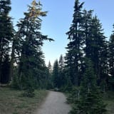 Sun Notch Trail, Oregon - 1,007 Reviews, Map | AllTrails