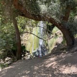 Escondido Falls Trail, California - 7,230 Reviews, Map | AllTrails
