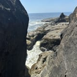 Kalaloch 4th Beach Trail, Washington - 452 Reviews, Map | AllTrails