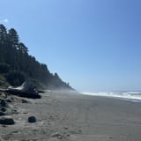 Kalaloch 4th Beach Trail, Washington - 452 Reviews, Map | AllTrails