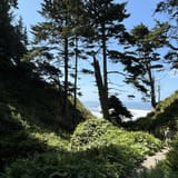 Kalaloch 4th Beach Trail, Washington - 452 Reviews, Map | AllTrails