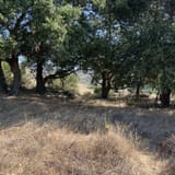 Beeks Place via Black Star Canyon, California - 879 Reviews, Map ...