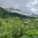 Carter Lake Trail, Alaska - 368 Reviews, Map | AllTrails