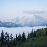 Silver Forest Trail, Washington - 566 Reviews, Map | AllTrails