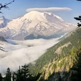 Silver Forest Trail, Washington - 566 Reviews, Map | AllTrails