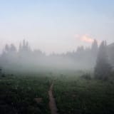 Silver Forest Trail, Washington - 566 Reviews, Map | AllTrails