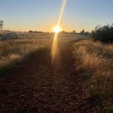 Pre's Trail, Oregon - 868 Reviews, Map | AllTrails