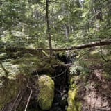 Mount Rose Trail, Washington - 1,393 Reviews, Map | AllTrails