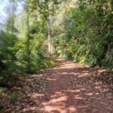 Bukit Hash, Kedah, Malaysia - 254 Reviews, Map | AllTrails