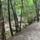 Sabbaday Falls , New Hampshire - 1,586 Reviews, Map | AllTrails
