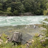 Devil's Hole - Whirlpool Rapids, New York - 1,296 Reviews, Map | AllTrails