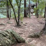 Whitaker Point Trail (Hawksbill Crag), Arkansas - 4,004 Reviews, Map ...