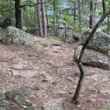 Whitaker Point Trail (Hawksbill Crag), Arkansas - 4,004 Reviews, Map ...
