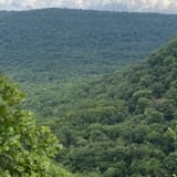 Whitaker Point Trail (Hawksbill Crag), Arkansas - 3,991 Reviews, Map ...
