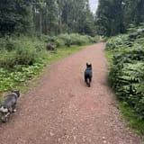 Kinver Edge Circular, West Midlands, England - 734 Reviews, Map | AllTrails