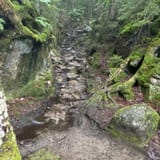 Cascade Brook Trail to Lonesome Lake, New Hampshire - 807 Reviews, Map ...