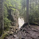 Cascade Brook Trail to Lonesome Lake, New Hampshire - 808 Reviews, Map ...