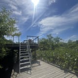 Neabsco Creek Boardwalk, Virginia - 969 Reviews, Map | AllTrails