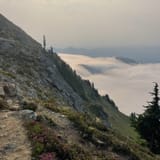 White Pass Pilot Ridge Loop Trail, Washington - 116 Reviews, Map ...